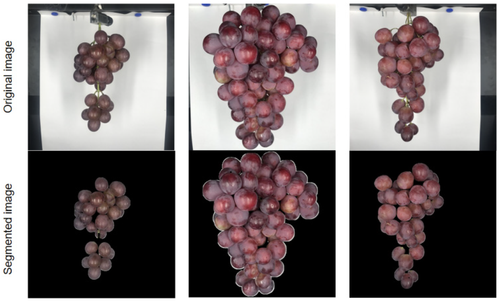 Feature Normalization Reweighting Regression Network for Sugar Content ...