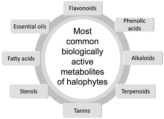 Halophytes as Medicinal Plants against Human Infectious Diseases
