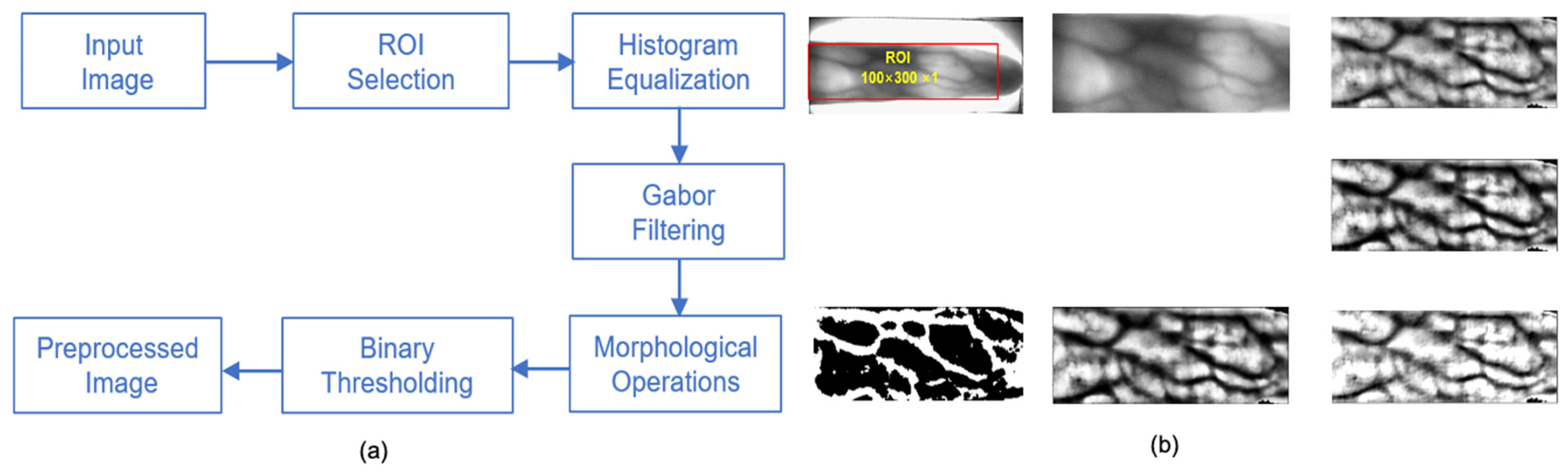 FVR-Net: Finger Vein Recognition with Convolutional Neural Network Using Hybrid Pooling