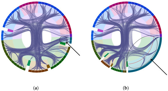 Carbonic: A Framework for Creating and Visualizing Complex Compound Graphs