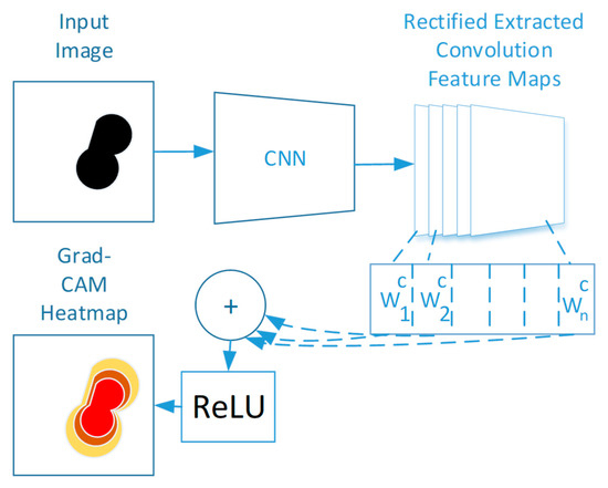 The Usefulness of Gradient-Weighted CAM in Assisting Medical Diagnoses