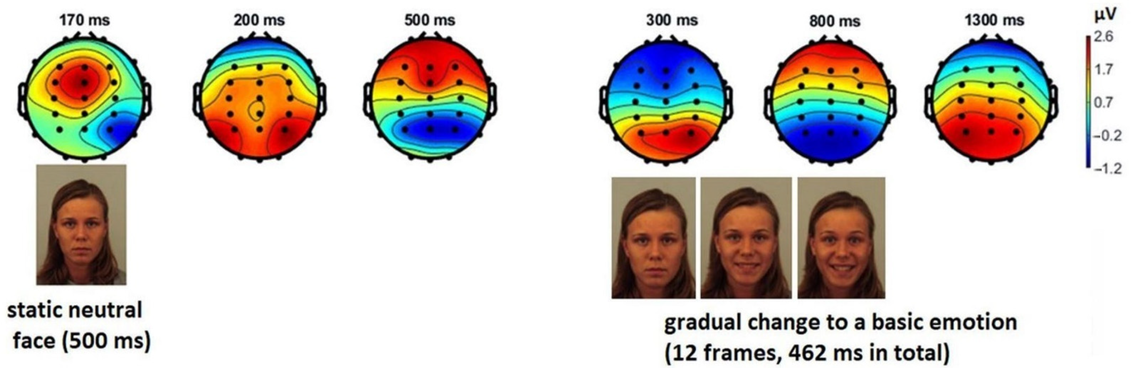 Event-Related Potentials during Verbal Recognition of Naturalistic ...