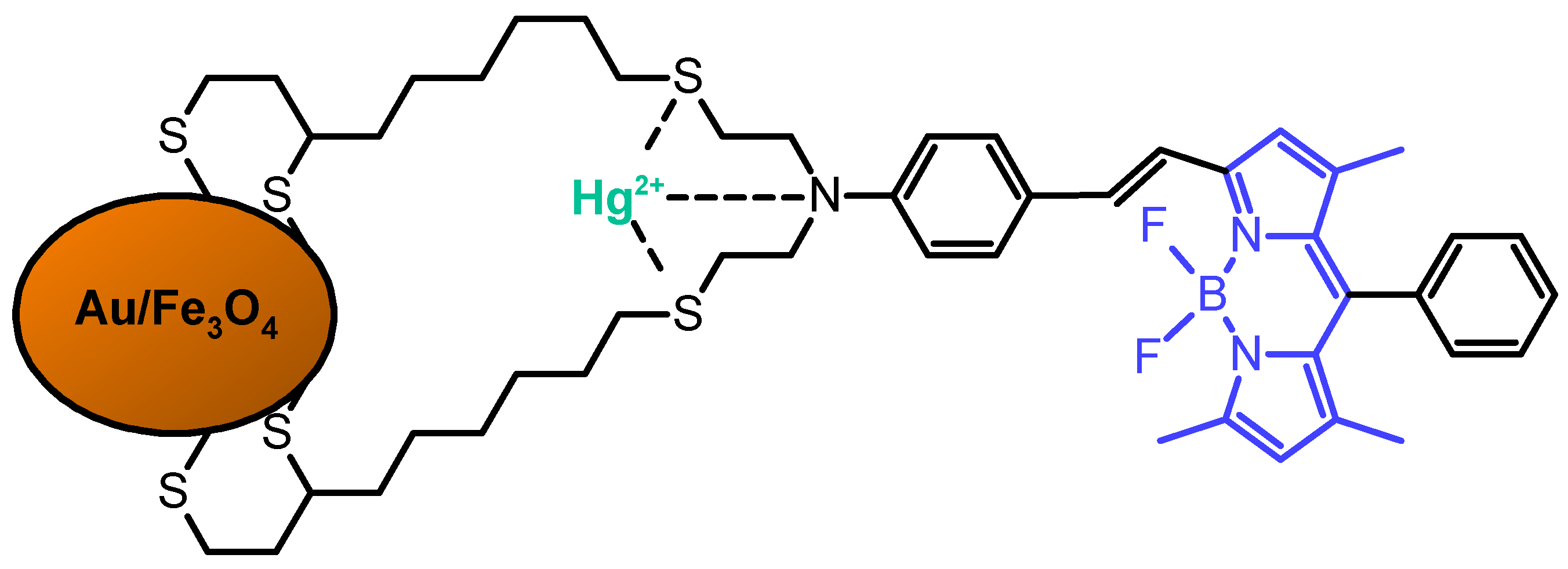 BODIPY-Based Nanomaterials—Sensing and Biomedical Applications