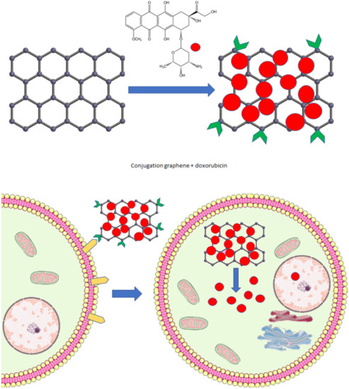 Carbon Nanoparticles and Their Biomedical Applications