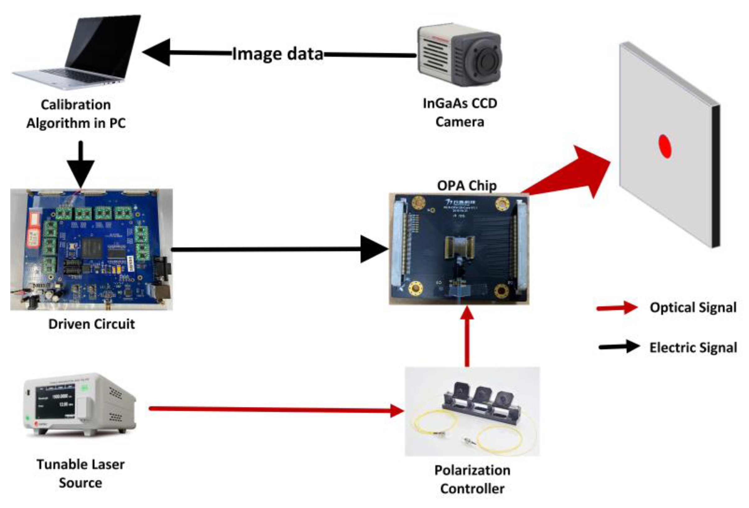 Improved SPGD Algorithm for Optical Phased Array Phase Calibration