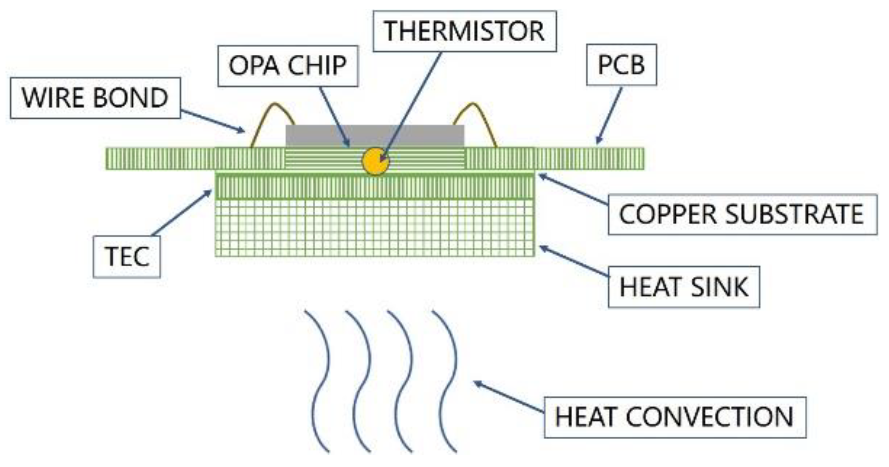 Improved SPGD Algorithm for Optical Phased Array Phase Calibration