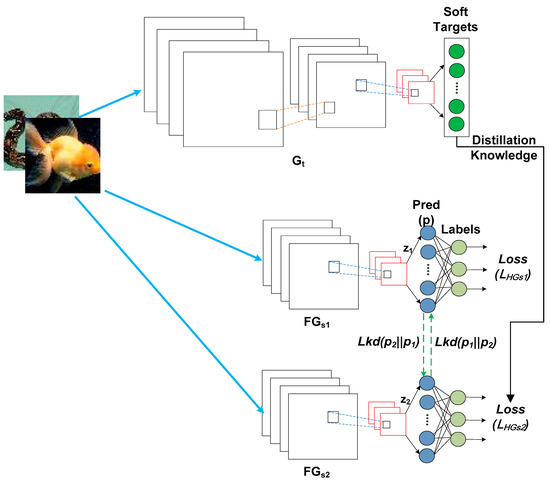 Applied Sciences | Free Full-Text | Improving Deep Mutual Learning via ...
