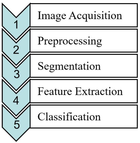 One-Stage Disease Detection Method for Maize Leaf Based on Multi-Scale ...