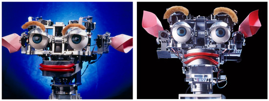 Applied Sciences | Free Full-Text | Robot Bionic Vision Technologies: A ...