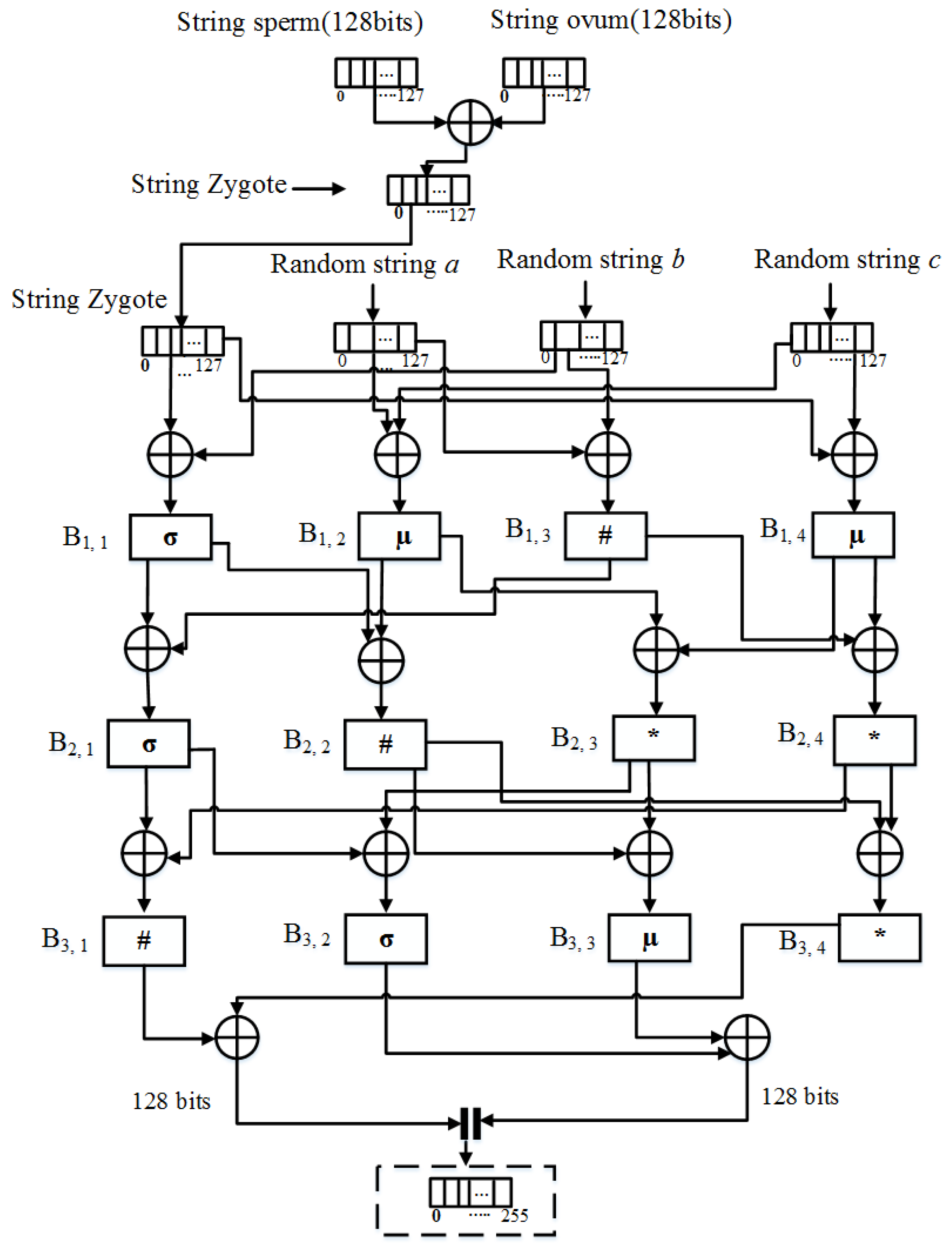 Applied Sciences | Free Full-Text | Omega Network Pseudorandom Key Generation Based on DNA ...
