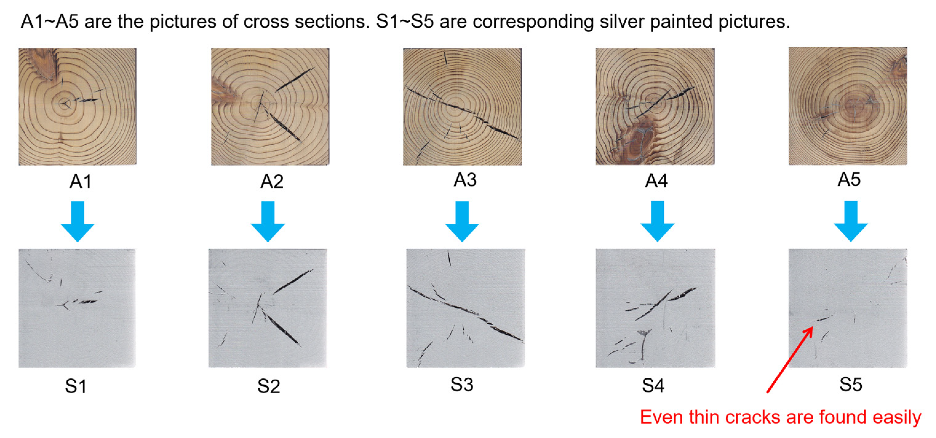 Automatic Classification of Crack Severity from Cross-Section Image of Timber Using Simple ...