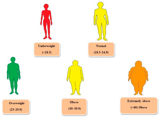 A Critical Review on Obesity: Herbal Approach, Bioactive Compounds, and ...