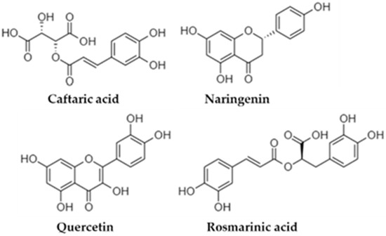 Assessing the Phytochemical Profile and Potential of Traditional Herbal ...