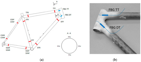 Experimental Development of Composite Bicycle Frame