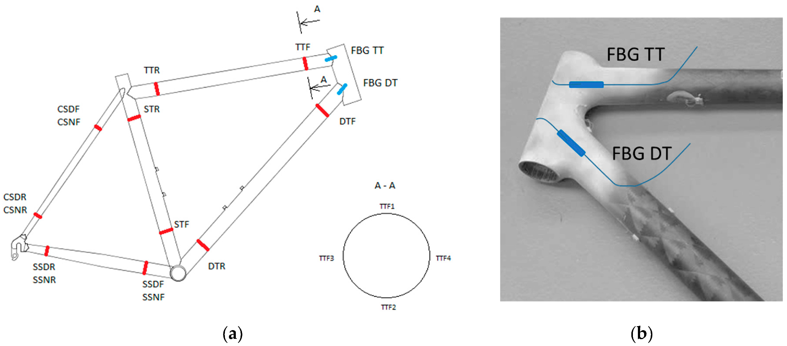 Experimental Development of Composite Bicycle Frame
