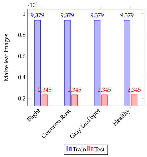 Adaptive Thresholding of CNN Features for Maize Leaf Disease ...