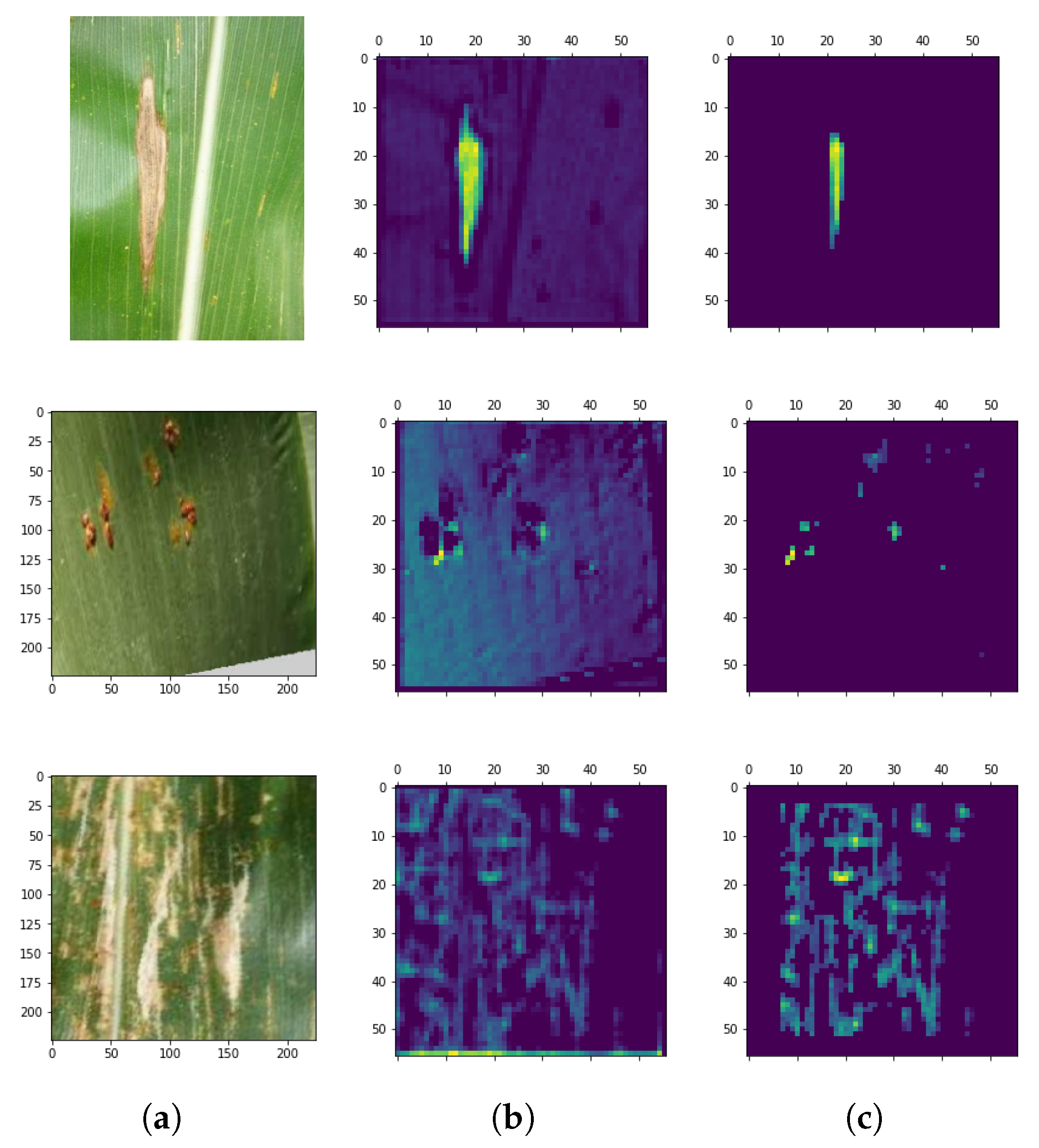 Adaptive Thresholding of CNN Features for Maize Leaf Disease ...