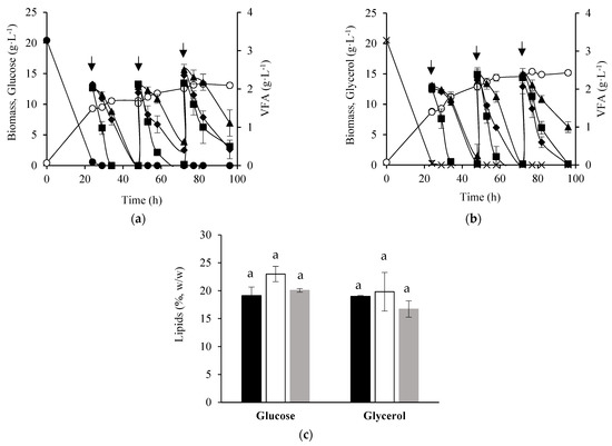 Enhancing Microbial Lipids Synthesis for Biodiesel Production by Y ...
