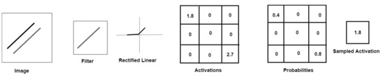 A Comparison of Pooling Methods for Convolutional Neural Networks