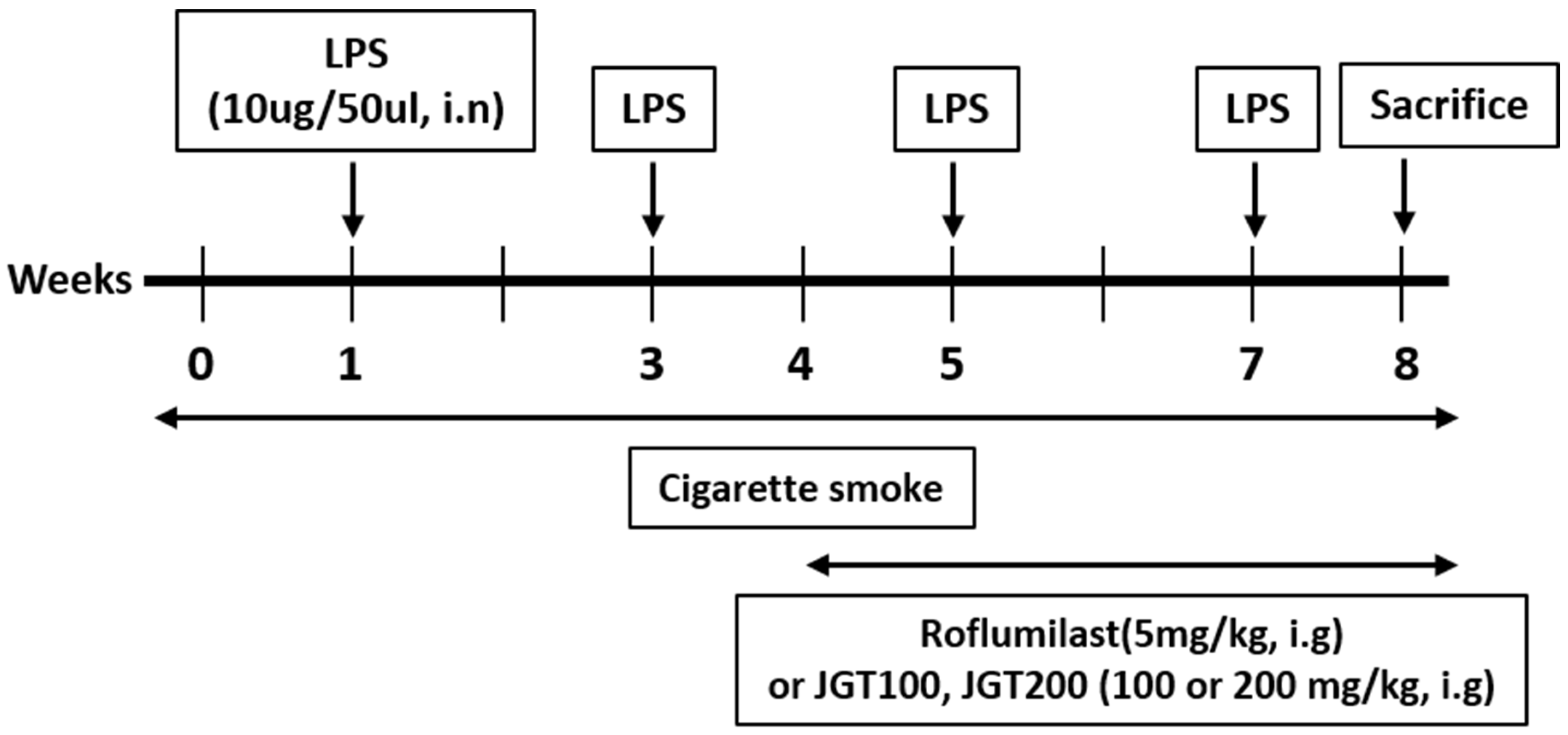 Anti Inflammatory And Anti Airway Remodeling Activities Of Jakyakgamcho Tang In A Mouse Model Of