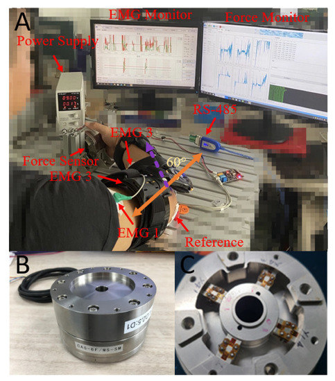 sEMG-Upper Limb Interaction Force Estimation Framework Based on Residual Network and ...