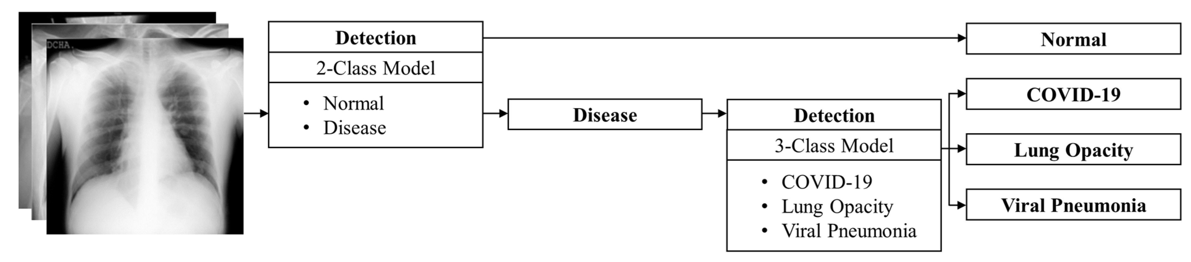 A Two-Step Learning Model for the Diagnosis of Coronavirus Disease-19 ...