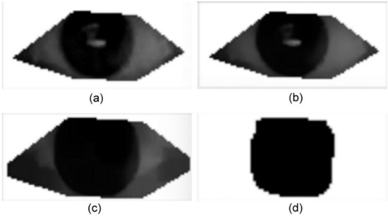 Driver Fatigue and Distracted Driving Detection Using Random Forest and Convolutional Neural Network
