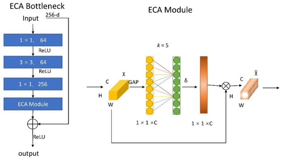 Applied Sciences | Free Full-Text | Exploiting Hierarchical Label Information in an Attention ...