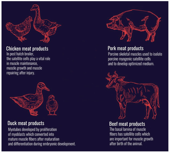 Marketing Strategies for Cultured Meat: A Review