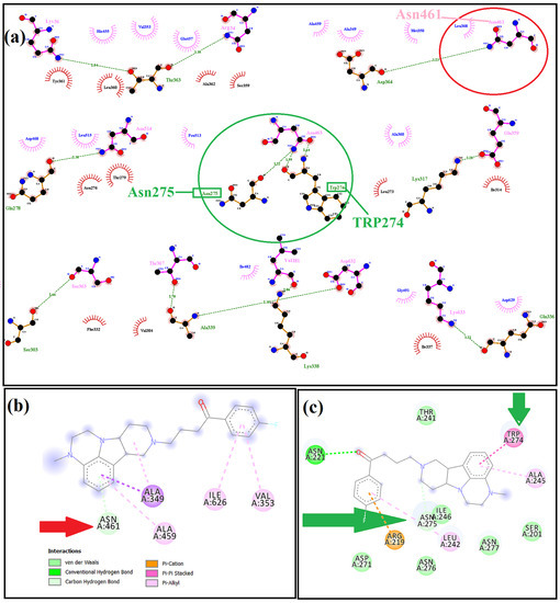Lumateperone Interact with S-Protein of Ebola Virus and TIM-1 of Human ...