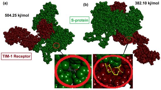 Lumateperone Interact with S-Protein of Ebola Virus and TIM-1 of Human ...