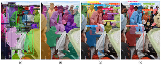 Applied Sciences | Free Full-Text | Benchmarking Deep Learning Models for Instance Segmentation