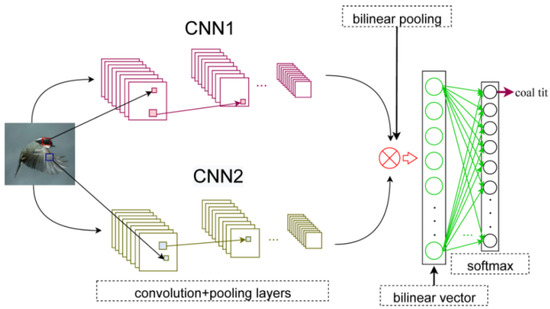 ConvNeXt-Based Fine-Grained Image Classification and Bilinear Attention Mechanism Model