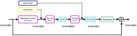 ConvNeXt-Based Fine-Grained Image Classification and Bilinear Attention Mechanism Model