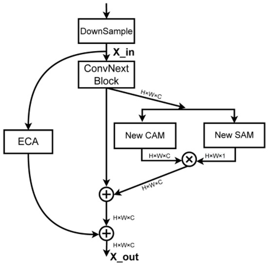 ConvNeXt-Based Fine-Grained Image Classification and Bilinear Attention Mechanism Model