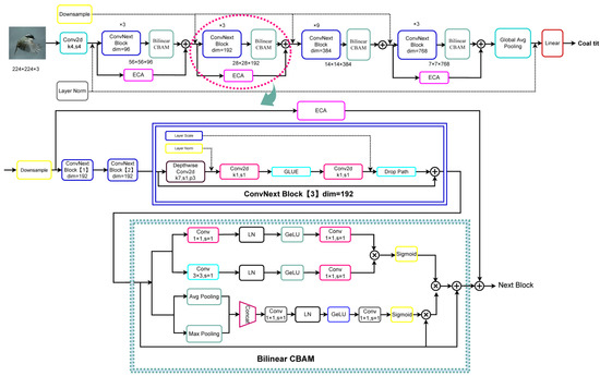ConvNeXt-Based Fine-Grained Image Classification and Bilinear Attention Mechanism Model