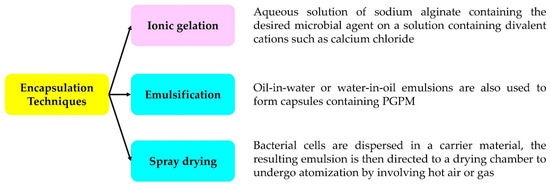 Recent Advances in Encapsulation Techniques of Plant Growth-Promoting ...