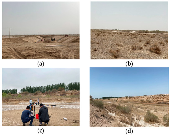 Analysis of the Characteristics and Cause Analysis of Soil Salt Space ...