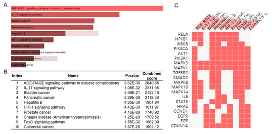 Network Pharmacology-Based Study on the Efficacy and Mechanism of ...