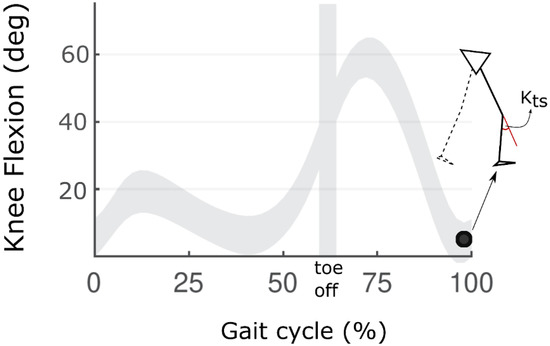 Applied Sciences | Free Full-Text | The Role of Knee Flexors Hypertonia ...