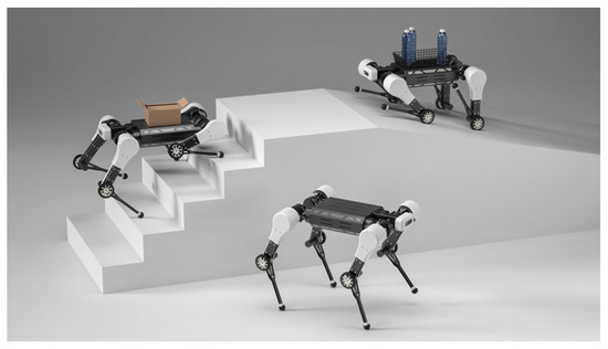 A Wheels-on-Knees Quadruped Assistive Robot to Carry Loads
