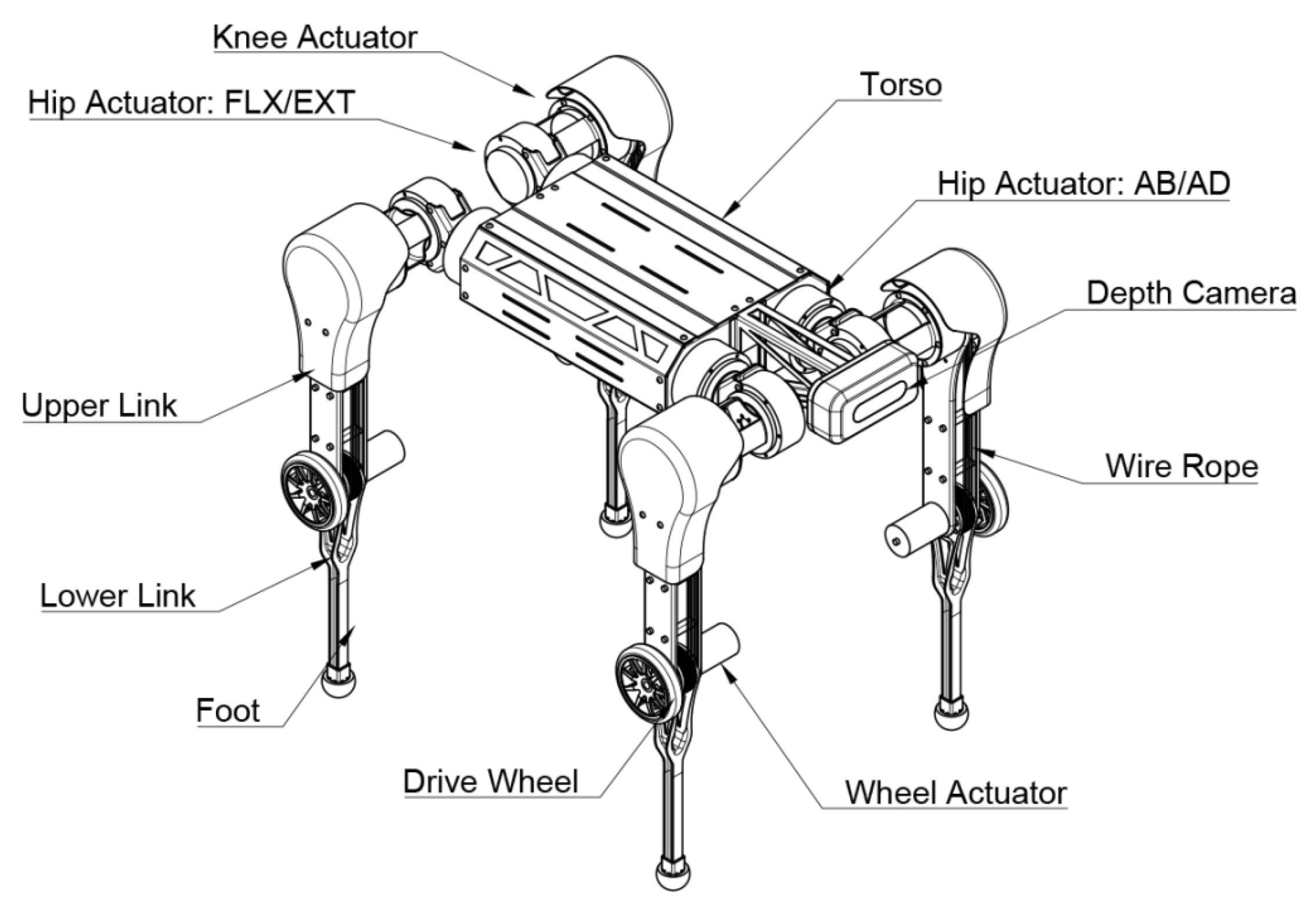 A Wheels-on-Knees Quadruped Assistive Robot to Carry Loads