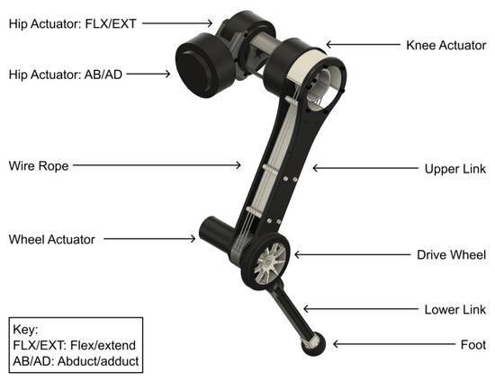 A Wheels-on-Knees Quadruped Assistive Robot to Carry Loads