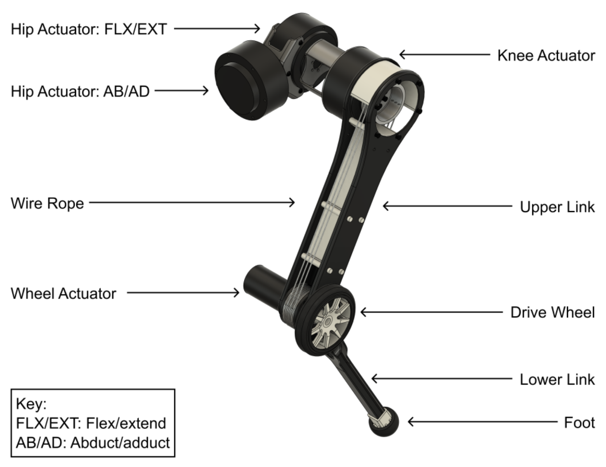 A Wheels-on-Knees Quadruped Assistive Robot to Carry Loads