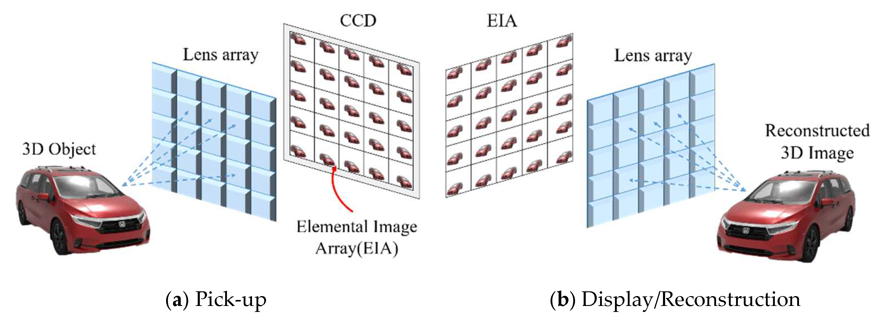 Re Calibration And Lens Array Area Detection For Accurate Extraction Of Elemental Image Array In