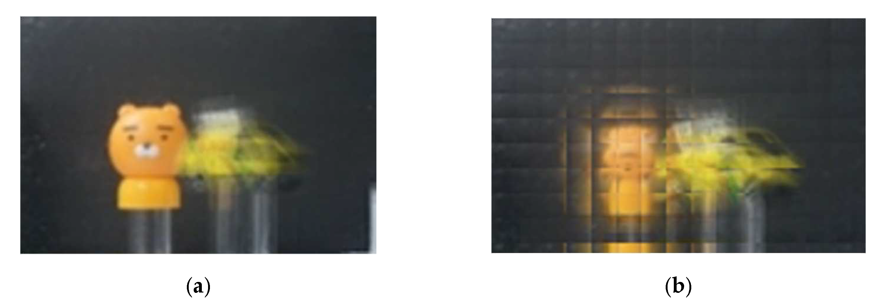 Re Calibration And Lens Array Area Detection For Accurate Extraction Of Elemental Image Array In