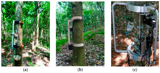 The Development of Rubber Tapping Machines in Intelligent Agriculture: A Review