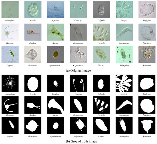 Comparative Study for Patch-Level and Pixel-Level Segmentation of Deep Learning Methods on ...
