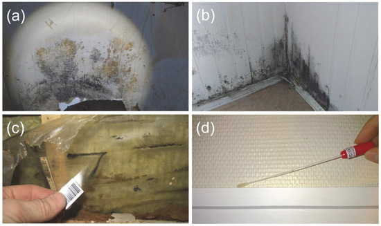 Comparison of Methods to Identify and Monitor Mold Damages in Buildings