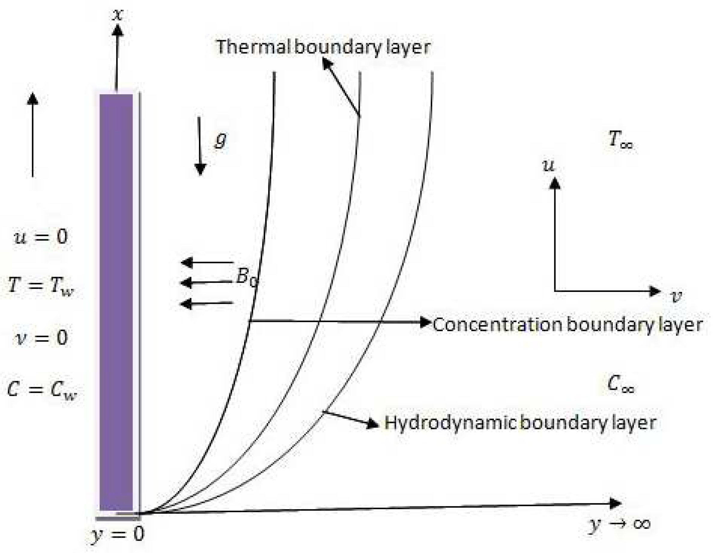 Applied Sciences | Free Full-Text | Dynamics of MHD Convection of Walters B Viscoelastic Fluid ...